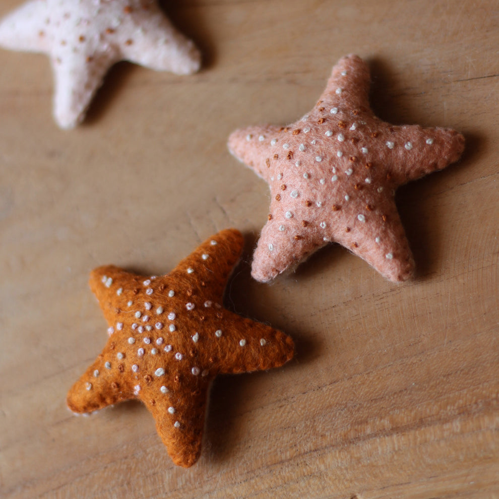 Starfish kit & online workshop – Lilalune