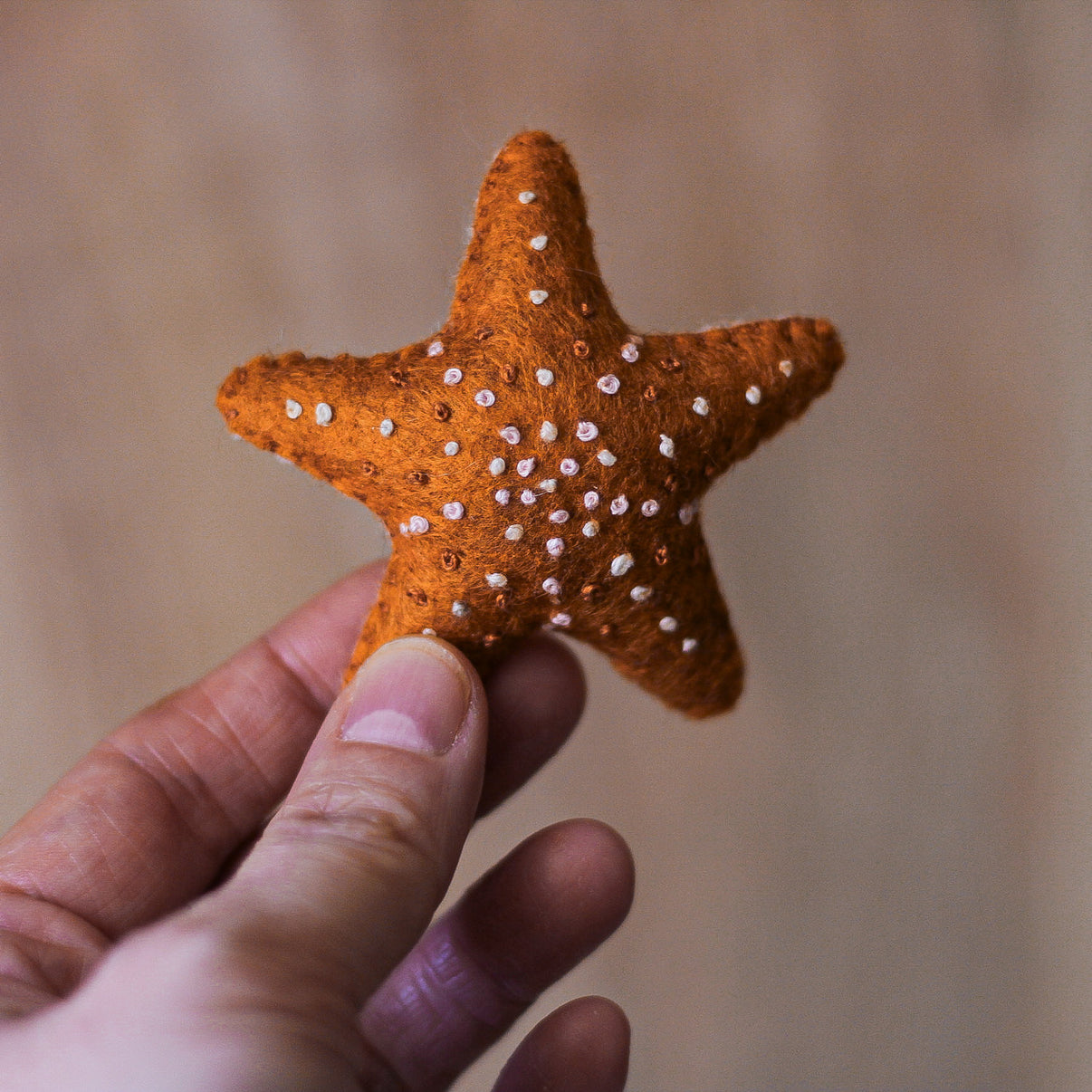 Starfish kit & online workshop – Lilalune